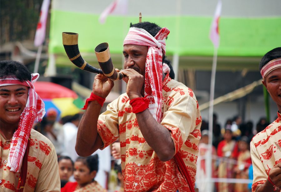 What's That Sound? The Pepa - Luminari